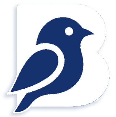 Bid Bird — Find and win government contracts